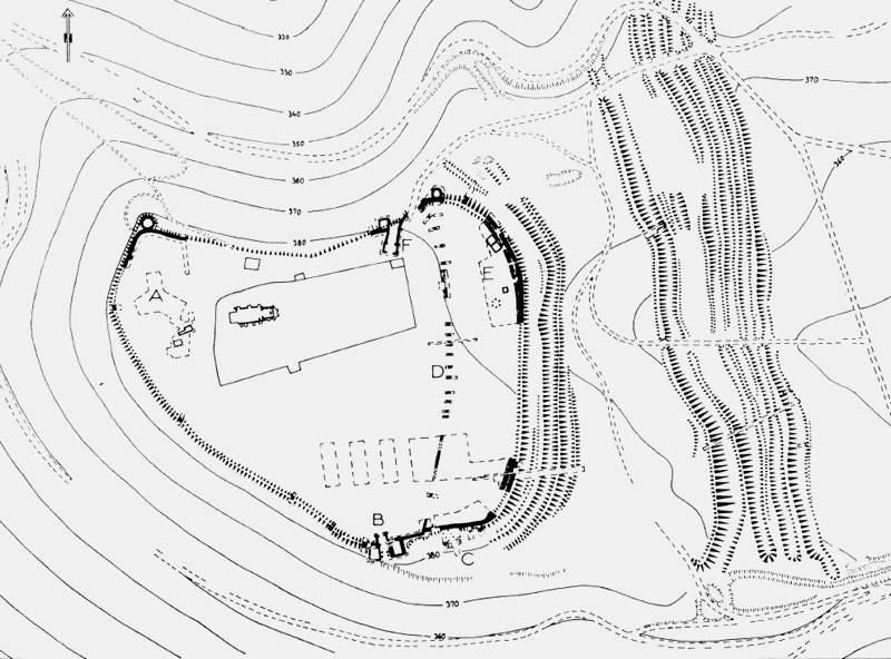 Ein Blick auf karolingische Burgen - Tribur.de